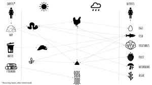 Aquaponic Greenhouse Workshop | Open Source Ecology