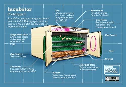 Introducing a New Distributive Enterprise: Grain-Free Eggs and ...